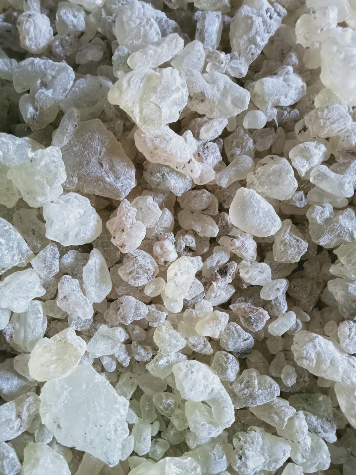 Home - Getah Damar | Damar Gum | Damar Resin