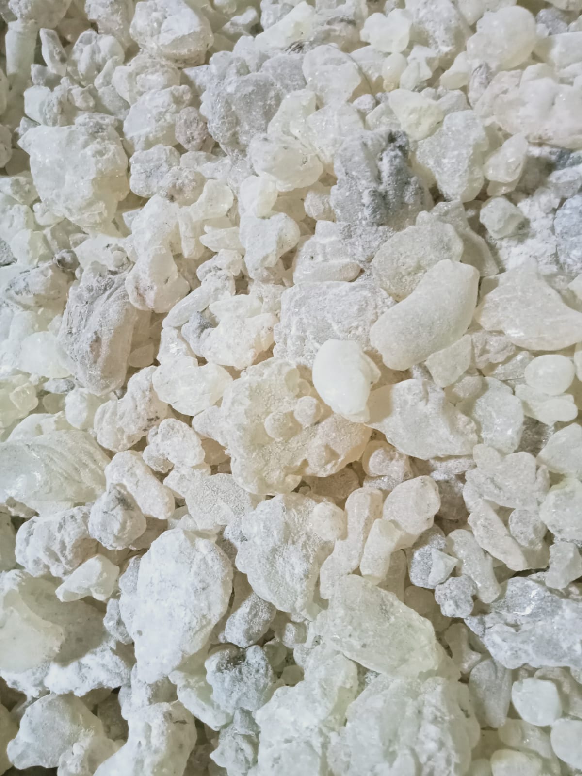 Home - Getah Damar | Damar Gum | Damar Resin